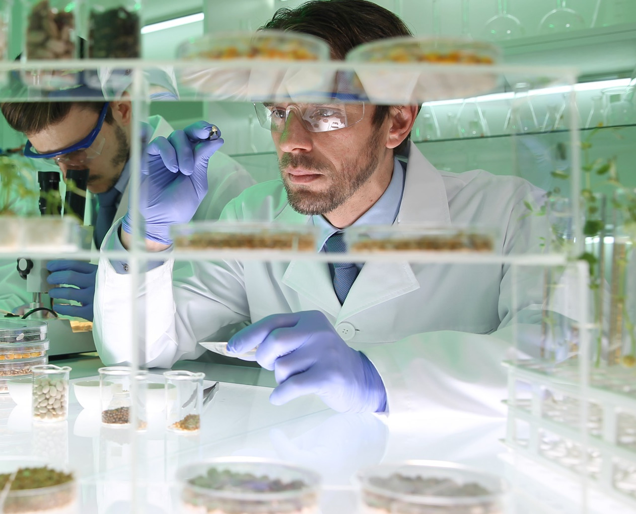 Weighing the evidence – a new framework for assessing external evidence ...